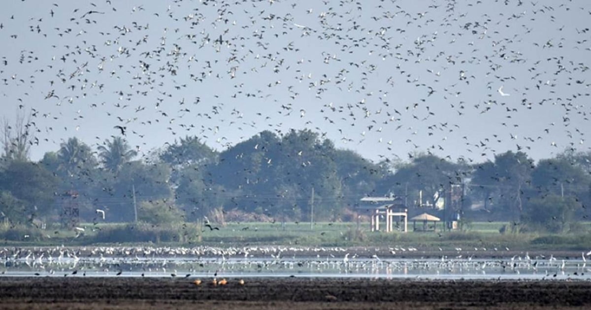 Agra Full day Tour With Patna Bird Century Overnight | GetYourGuide