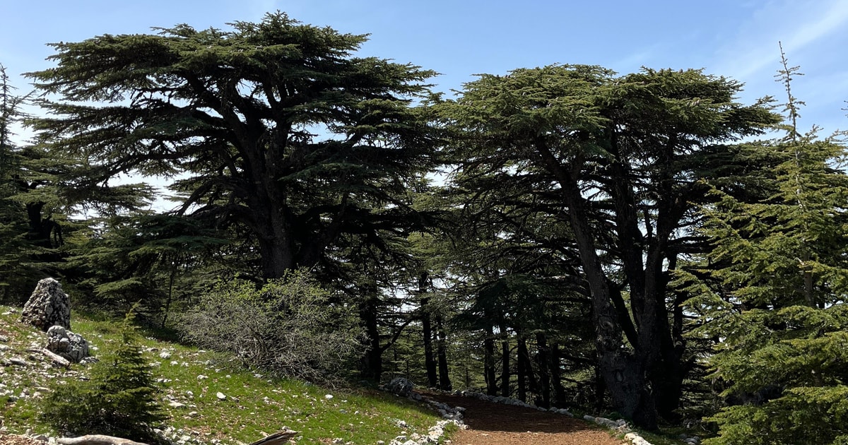 Beyond Beirut: Barouk, Beiteddine & Deir el Qamar | GetYourGuide