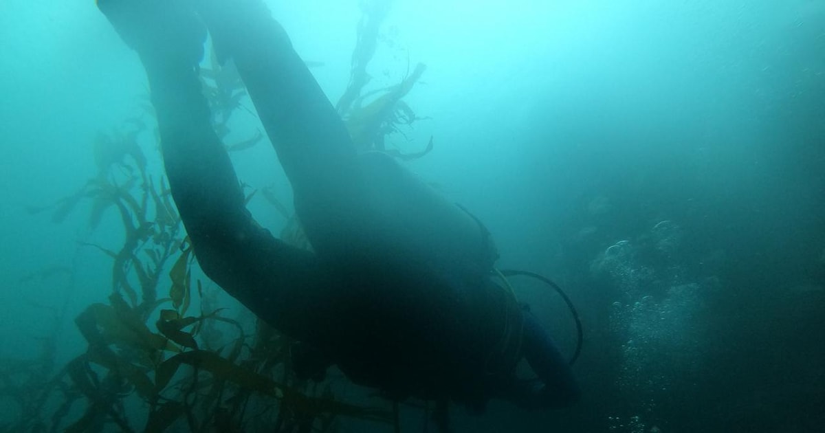 Lima: Fun Dive for certified divers | GetYourGuide