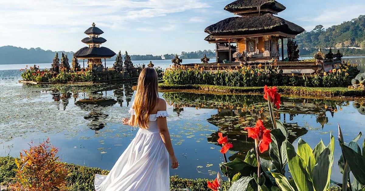 Noord-Bali: Dolfijn, Ulun Danu Tempel & Banyumala Waterval | GetYourGuide
