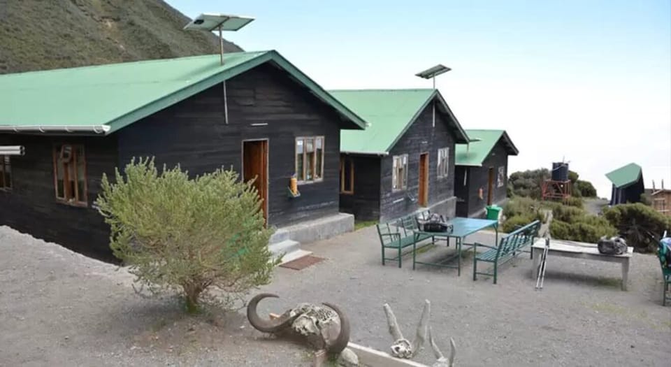 Trekking de 4/5 días por el Monte Meru | GetYourGuide