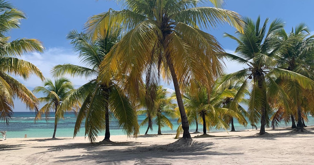 Punta Cana: Isla Saona Premium 3 stranden | GetYourGuide