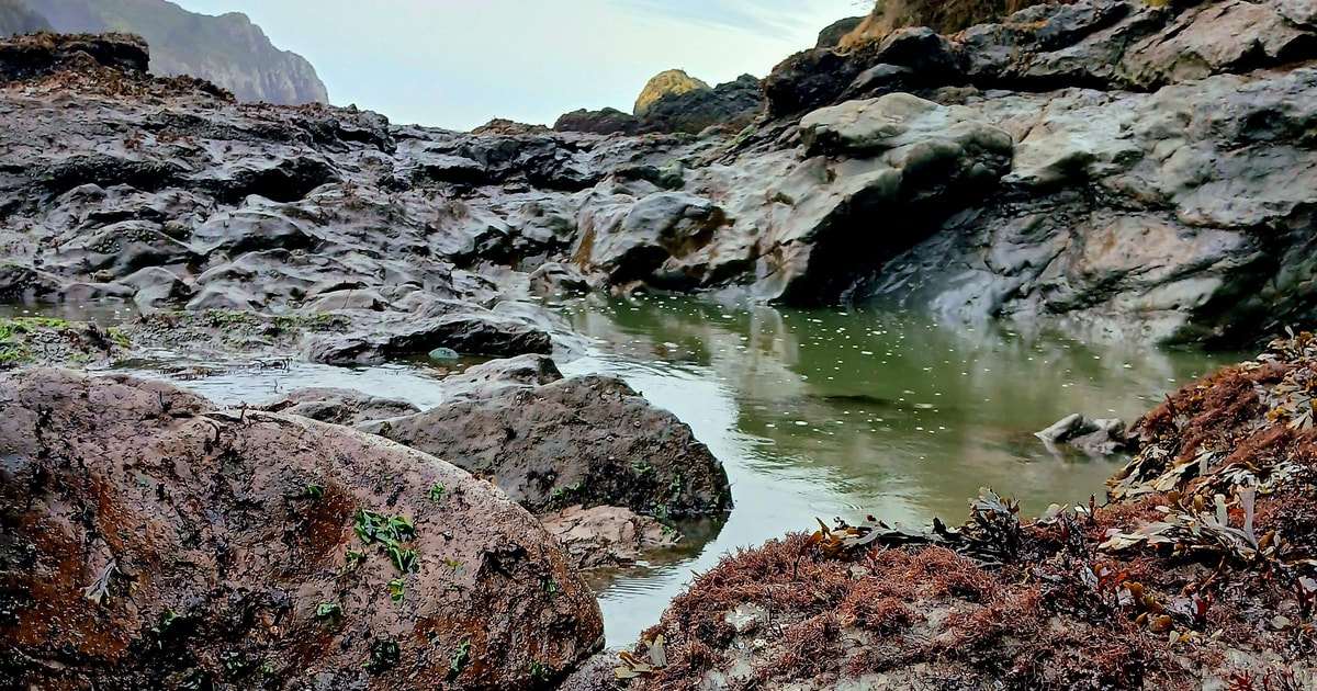 Trinidad: Elk Head Trail Guided Nature Walking Tour | GetYourGuide