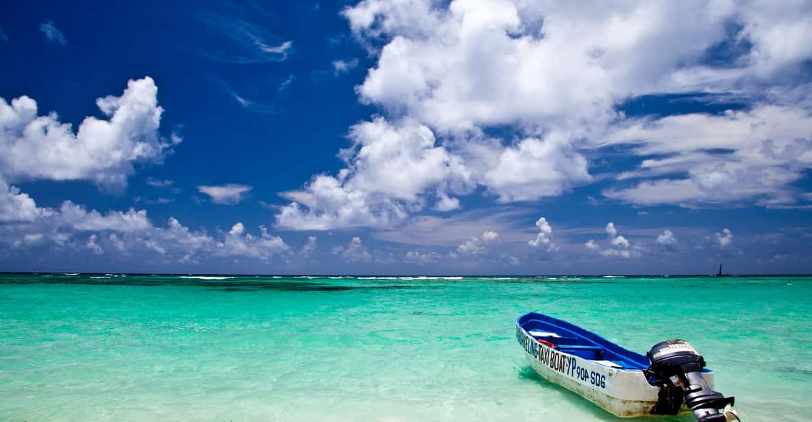 Santo Domingo: Saona Island Tour by Catamaran or Speedboat | GetYourGuide