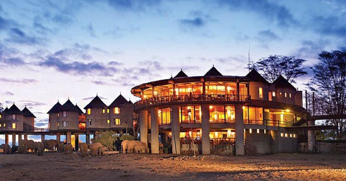 3 Daagse Safari naar Saltlick Lodge vanuit Nairobi | GetYourGuide
