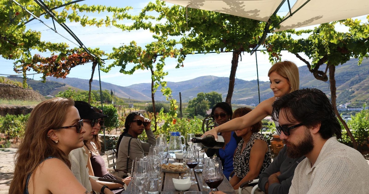 Vallée du Douro : visite d'une demi-journée avec 1 cave, dégustations ...