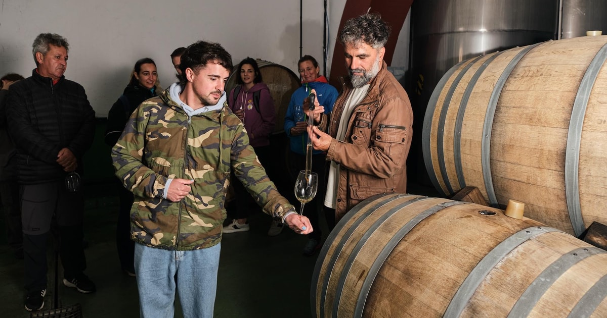 La Palma: Visita a Bodegas Teneguia con Cata de Vinos | GetYourGuide