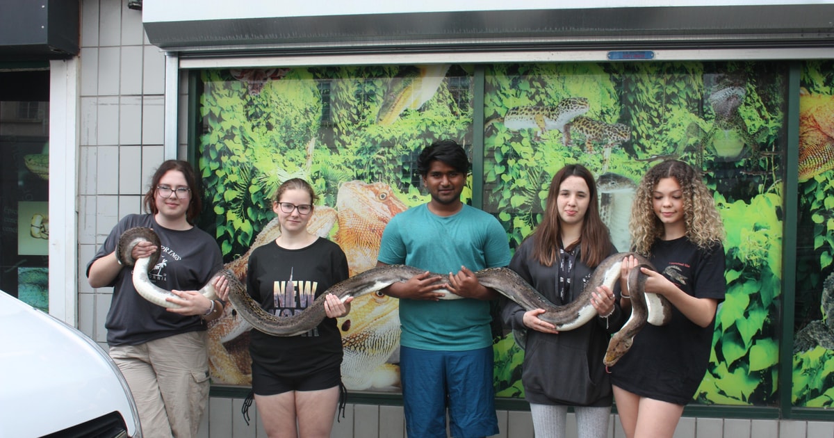 Bristol: Big Snake Experience for Two People | GetYourGuide
