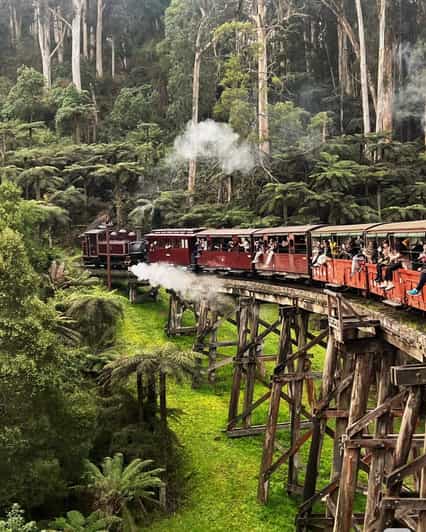 Melbourne: Puffing Billy Railway & Penguin Parade Day Trip | GetYourGuide