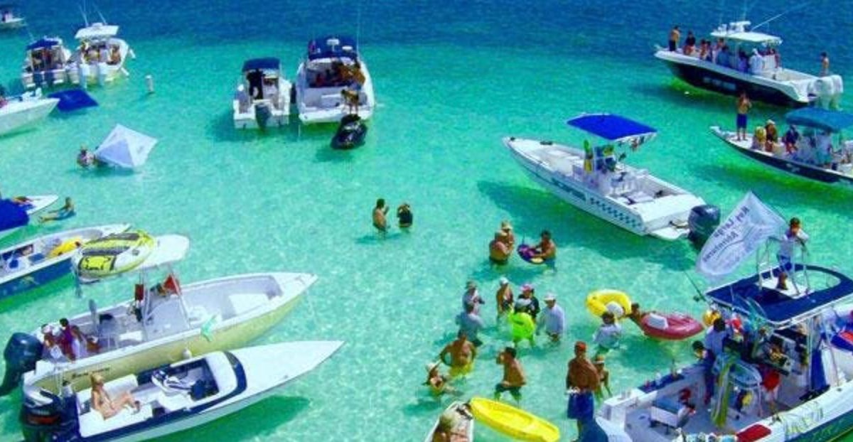 Islamorada: Whale Harbor Sandbar Trip Swimming Cheeca Lodge | GetYourGuide