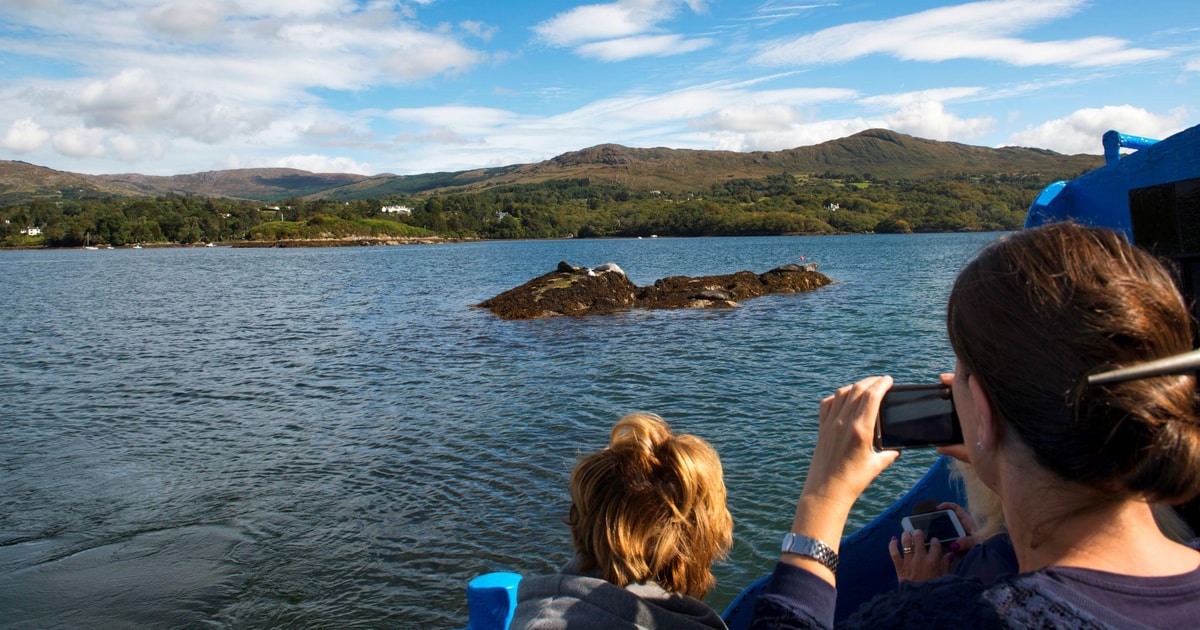 Fastnet Rock Lighthouse direct boat tour-Baltimore.Guided. | GetYourGuide