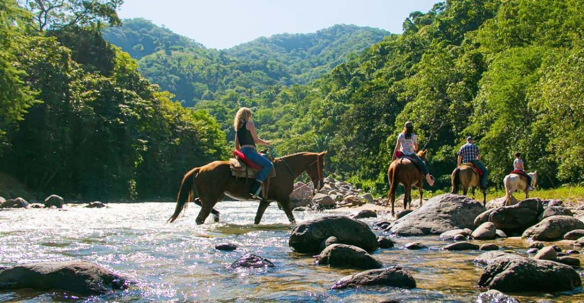 Puerto Vallarta: Tropical Forest Horseback Ride | GetYourGuide
