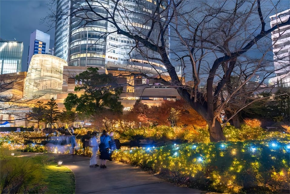 Tokyo Urban Highlight Expert English Guide Private Tour | GetYourGuide