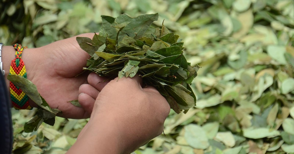 Reading your future in coca leaf in Spanish | GetYourGuide