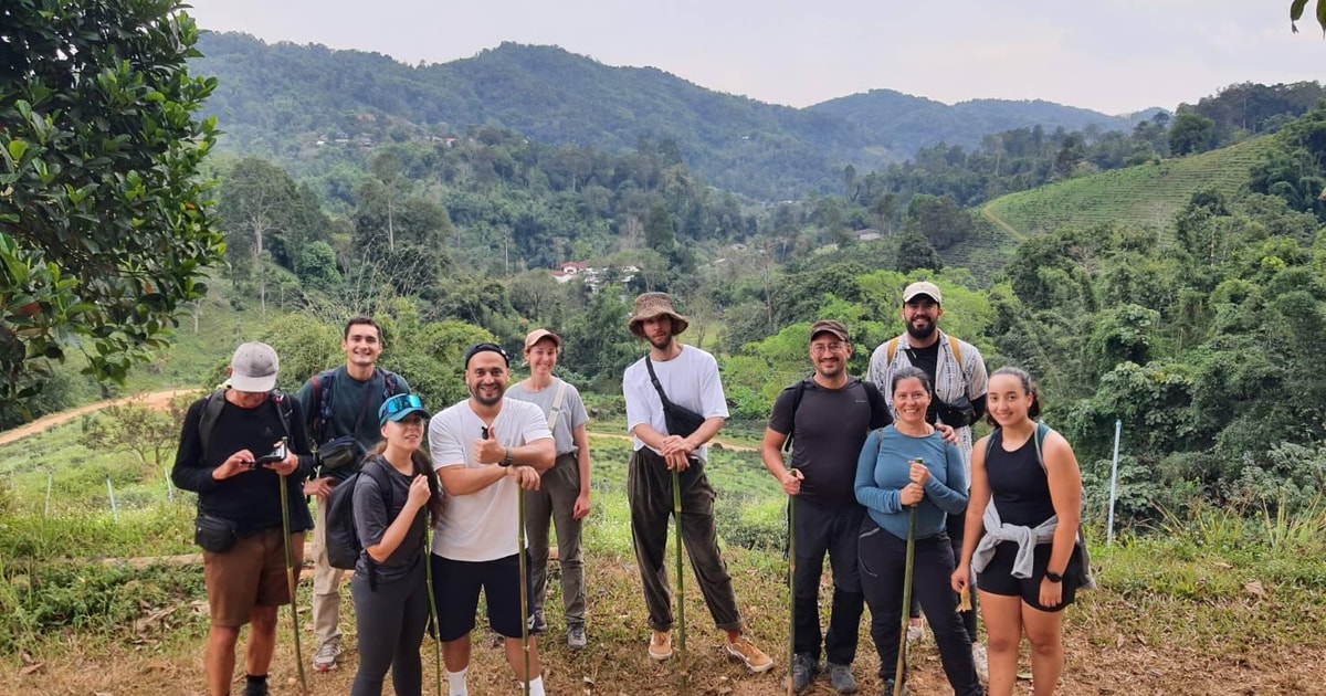 Chiang Rai: 2-Day Jungle Trek only walk with Waterfall | GetYourGuide