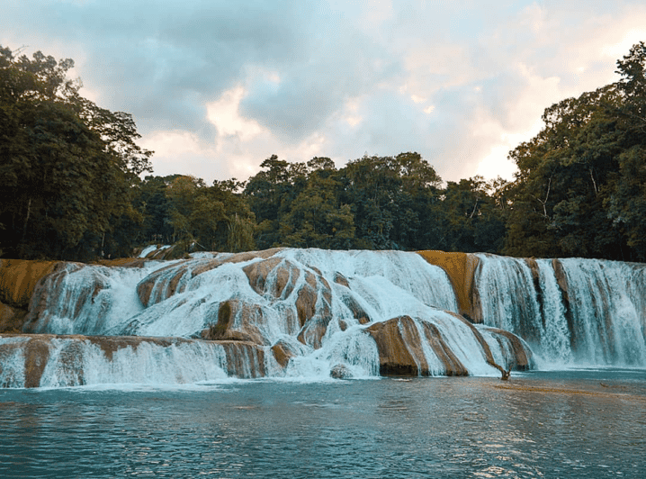Palenque: Recorrido por la Cascada de Roberto Barrios | GetYourGuide