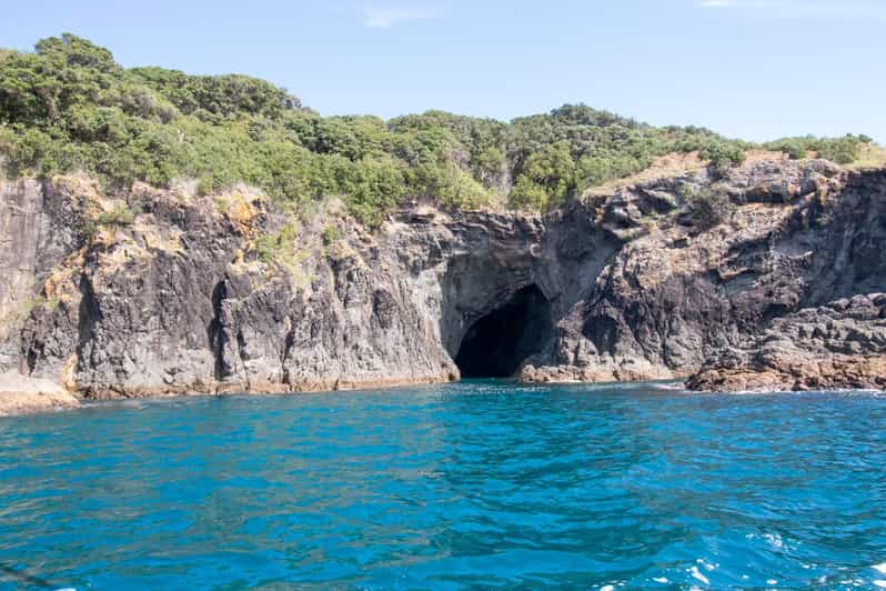 Isla de las Cabras: Tour en barco con fondo de cristal | GetYourGuide