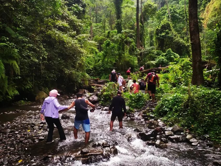 Lombok Biggest Waterfall - Sendang Gile & Tiu Kelep Tour | GetYourGuide