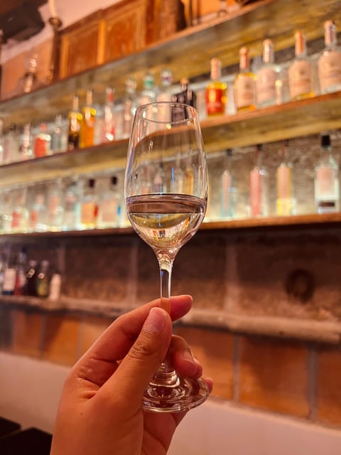 Taste the Spirits of Mexico through its Agave Distillates | GetYourGuide