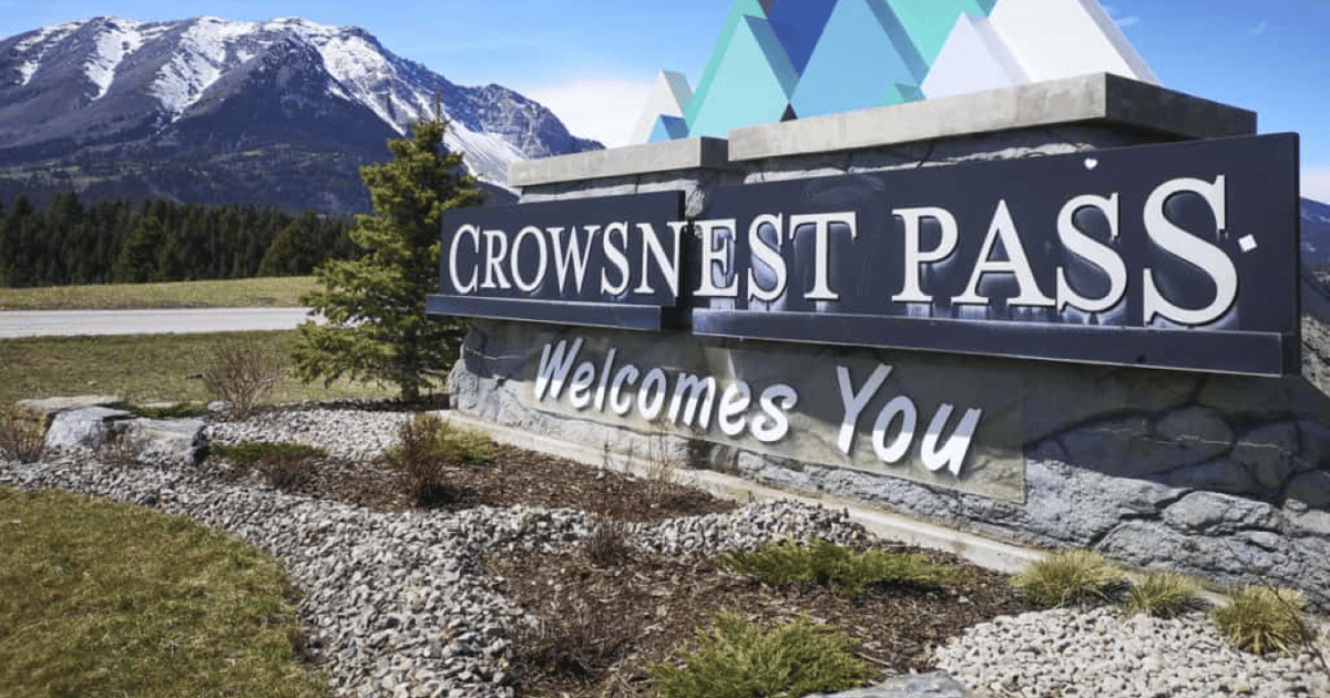 Calgary: Crowsnest Pass Tea & Tapas Experience | GetYourGuide
