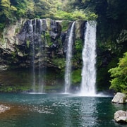Jeju-si: Jeju Island South Guided Tour | GetYourGuide