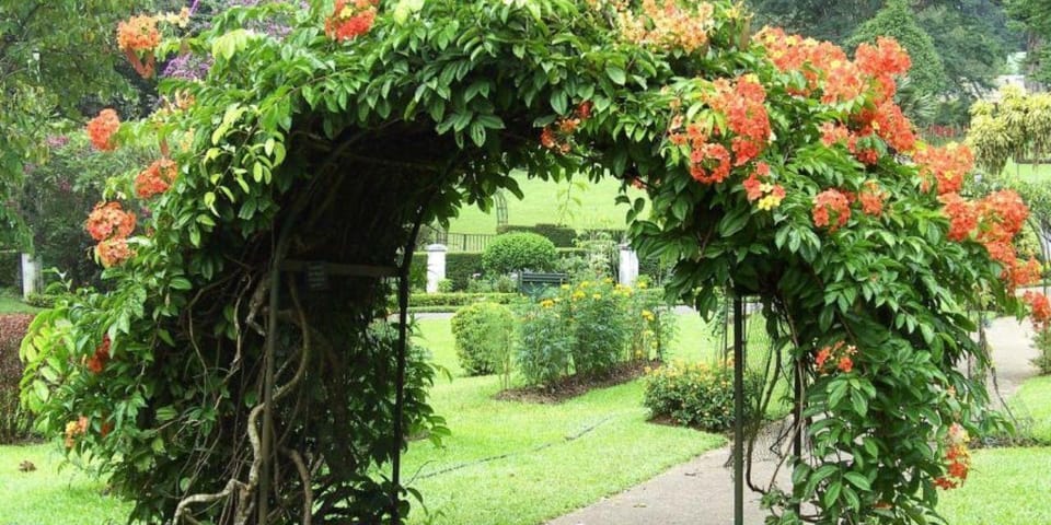 Kandy: All Inclusive City Tour! | GetYourGuide