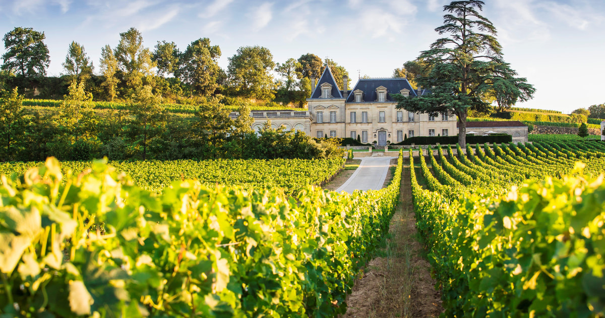 From Bordeaux: Private Wine Tour to Saint-Émilion | GetYourGuide