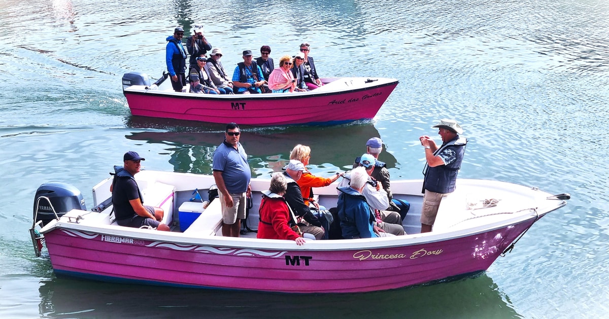 Lagos-Algarve: Grottentocht - Boottocht Laat in de middag | GetYourGuide