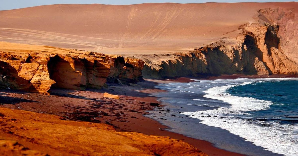 Full Day Paracas and Ballestas Islands | GetYourGuide