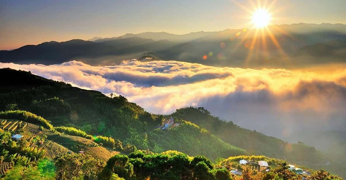 Taiwan: Alishan National Forest Recreation Area E-ticket | GetYourGuide