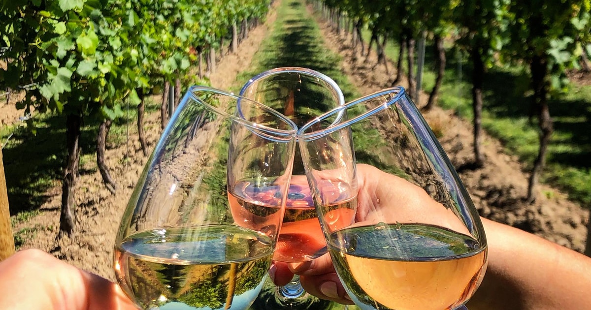 Rom auf dem Land: Wine Tasting Tour mit privatem Fahrer | GetYourGuide