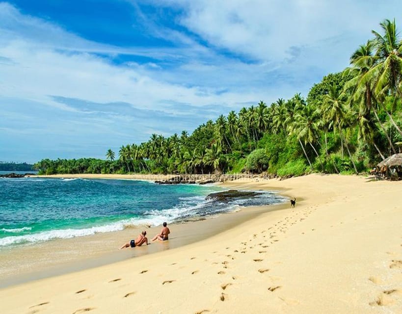 Galle and Bentota Day-Tour From Colombo | GetYourGuide