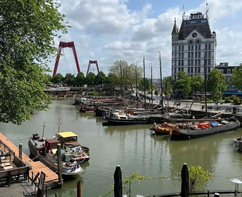 Private tour through Rotterdam | GetYourGuide