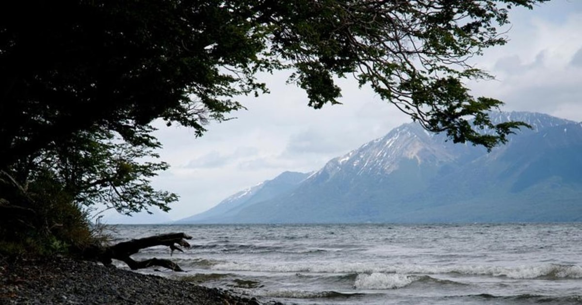 Ushuaia: Beagle Channel and Penguin Island Boat Tour | GetYourGuide