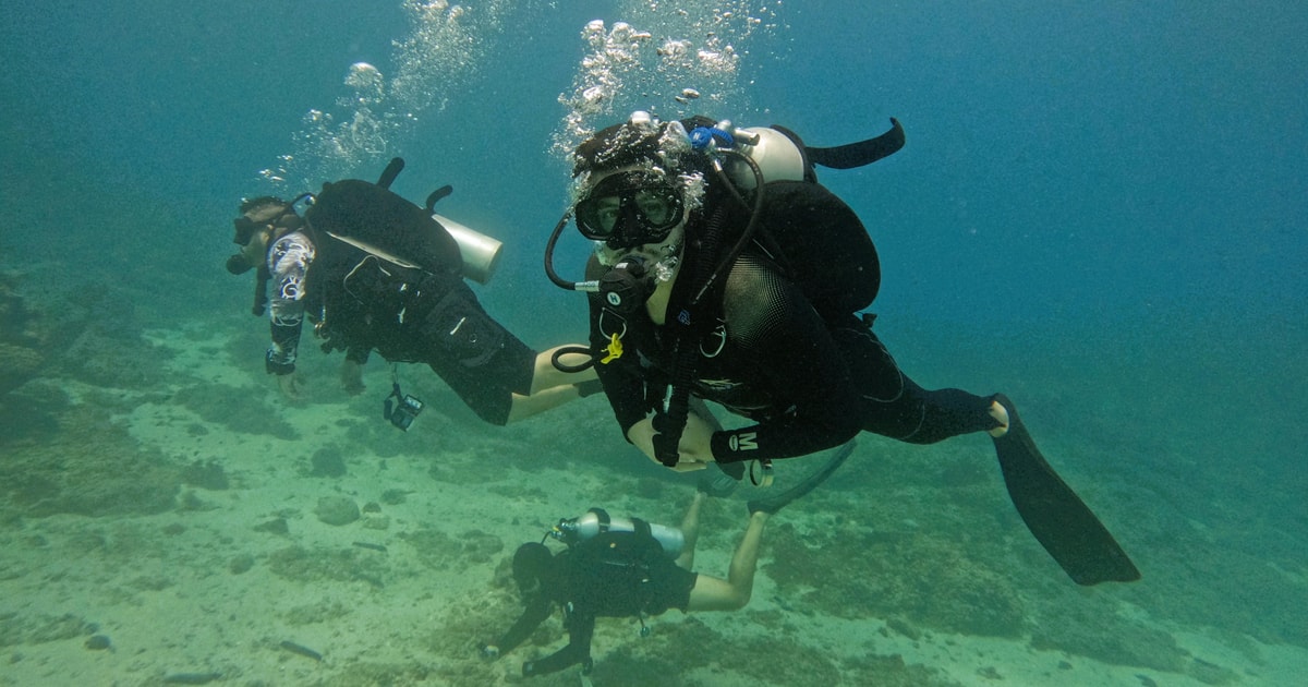 Fra Dubai: Dyk og bliv 5-dyk tur med grill, transport | GetYourGuide