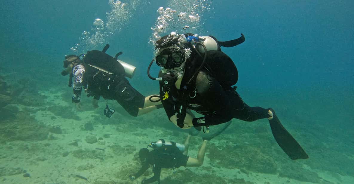 Abu Dhabi Padi Basic Scuba Diver-kursus | GetYourGuide