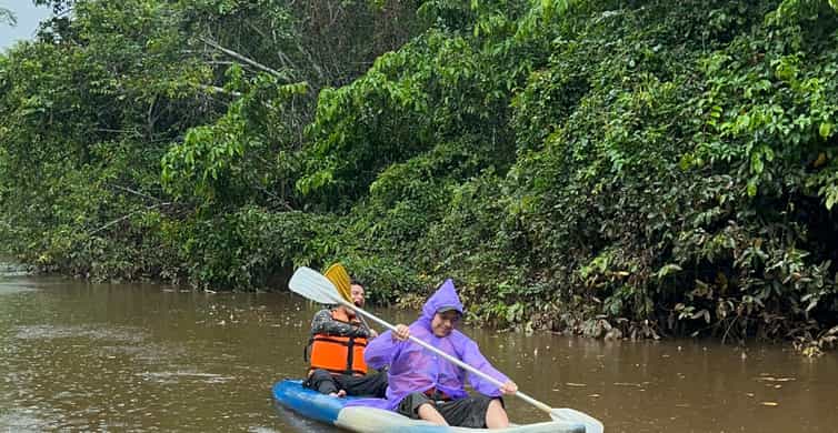 Canopy Tower, Zipline, Kayak, and Monkey Island … | GetYourGuide