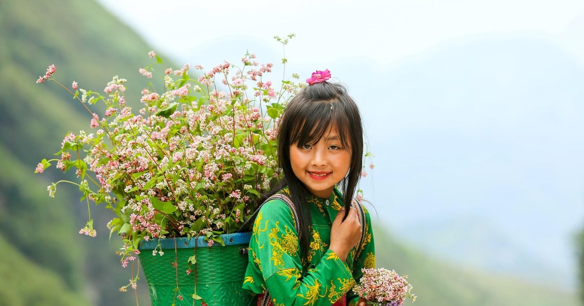 From Hanoi: 2-Day Sapa-Cat Cat-Ham Rong Mountain by Bus | GetYourGuide
