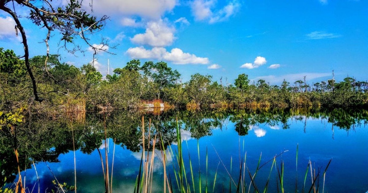Florida Keys: Up The Keys Natuurtour | GetYourGuide