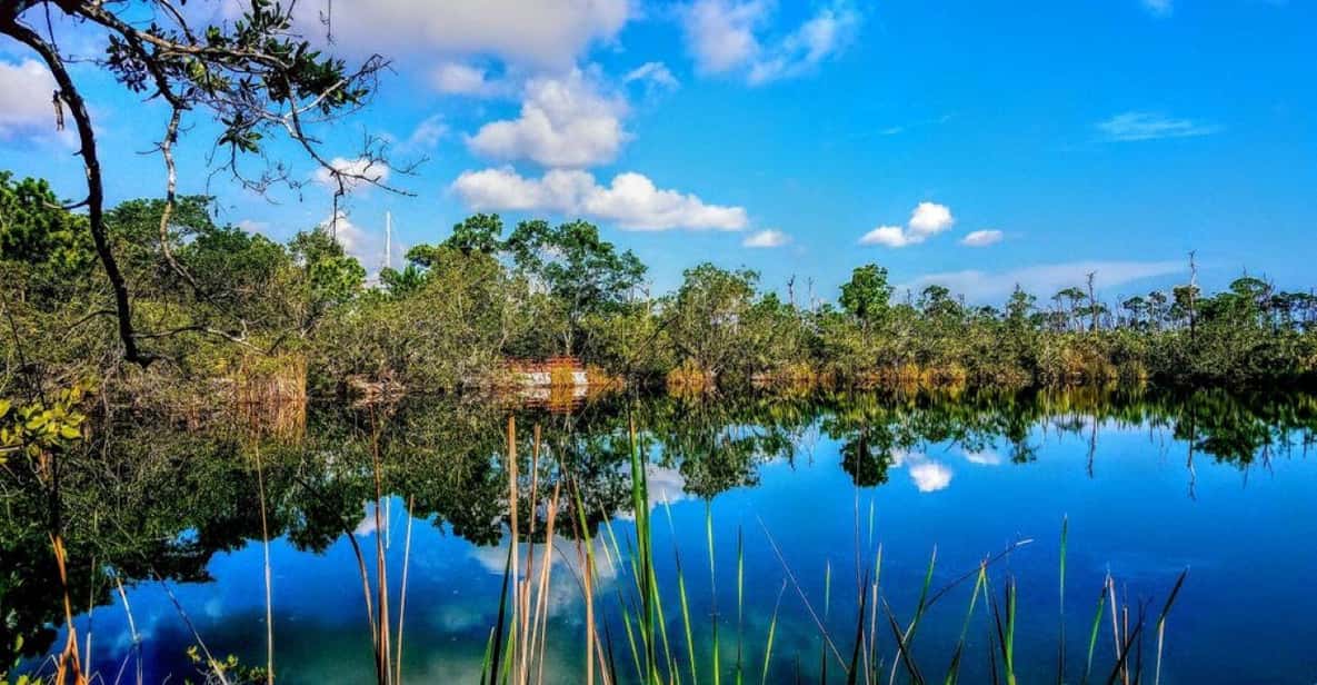 Florida Keys: Up The Keys Nature Tour | GetYourGuide