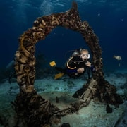 Isla Mujeres: MUSA and the Manchones Reef: 2 Tank Dive Tour | GetYourGuide