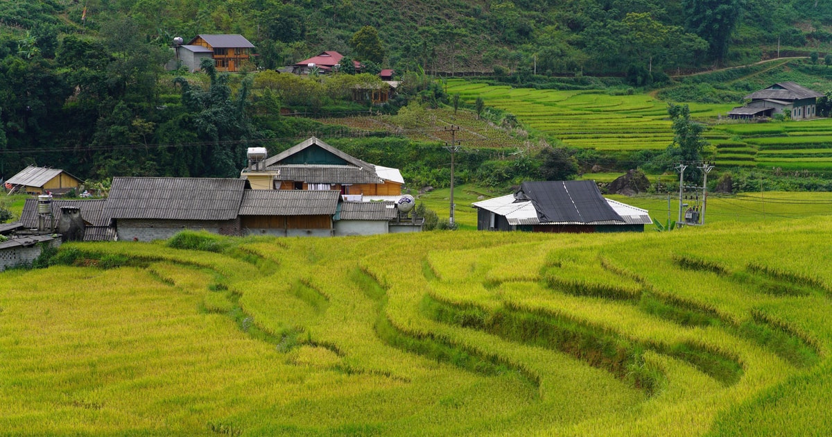 Sapa Trip to Y Linh Ho - Lao Chai - Ta Van - Cat Cat Village | GetYourGuide
