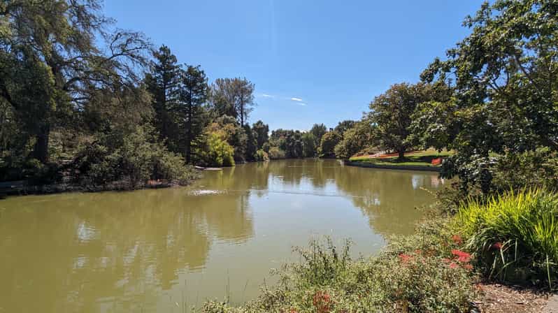 Davis Scavenger Hunt Walking Tour and Game | GetYourGuide