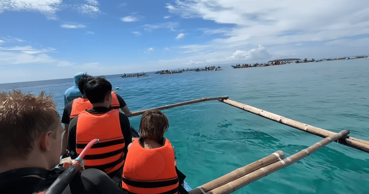 Cebu:Whale Shark Encounter &Moalboal Sardines &Turtle Thrill | GetYourGuide