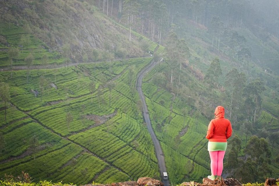 Lipton's Seat and Tea Factory & Tea Plantation Day Tour | GetYourGuide