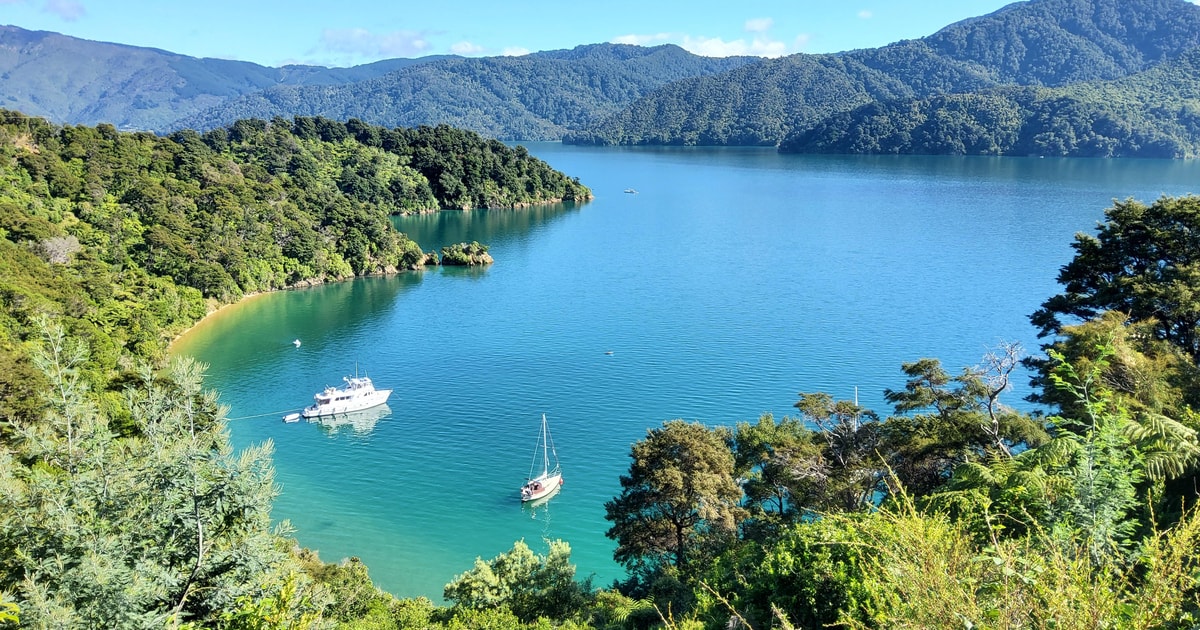 New Zealand: 17-dages guidet tur på Sydøen med camping | GetYourGuide