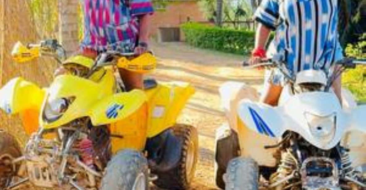 Hazyview : 30 minutes Quad Ride | GetYourGuide