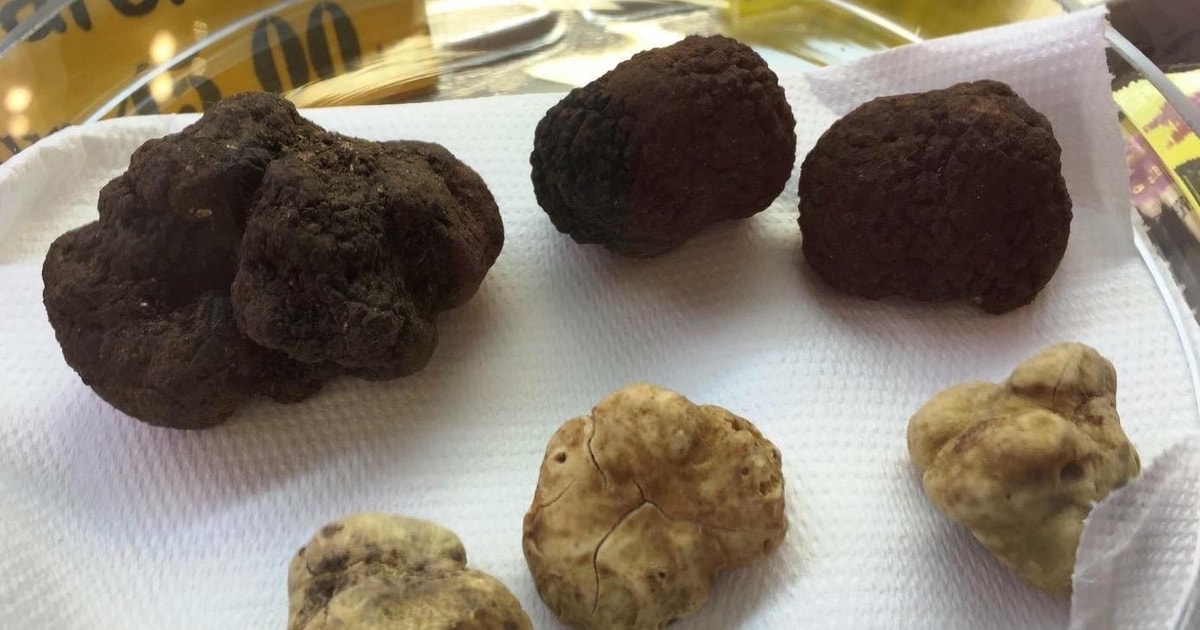 The Truffle Experience in Rome | GetYourGuide