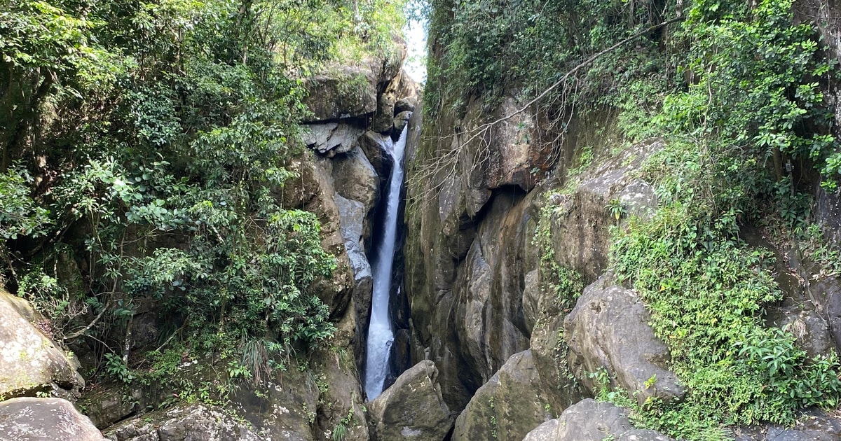 Puerto Rico: Explora la isla como un lugareño | GetYourGuide