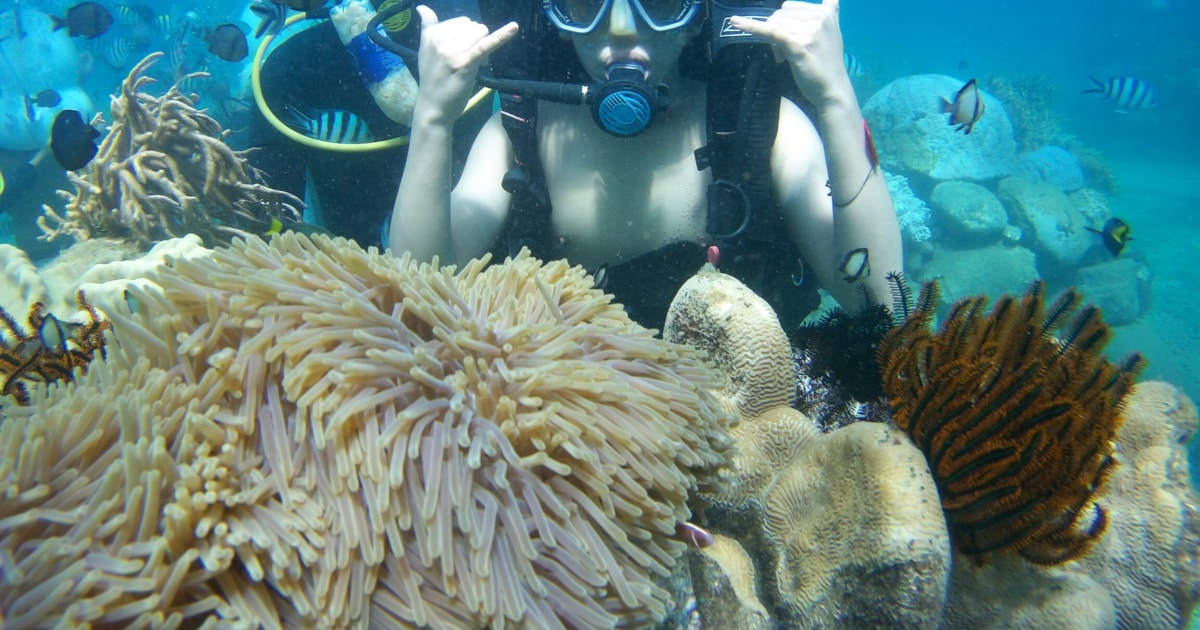 Rode Rivier Tour - Duiken bij Roi Island Phu Quoc | GetYourGuide